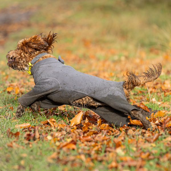 Cockapoo Four Legged Dog Coat – Stix and Co