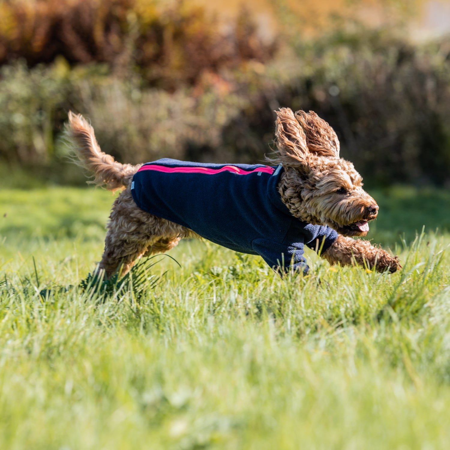 Dog Coats for Cockapoos | Dog Coats by Stix and Co.