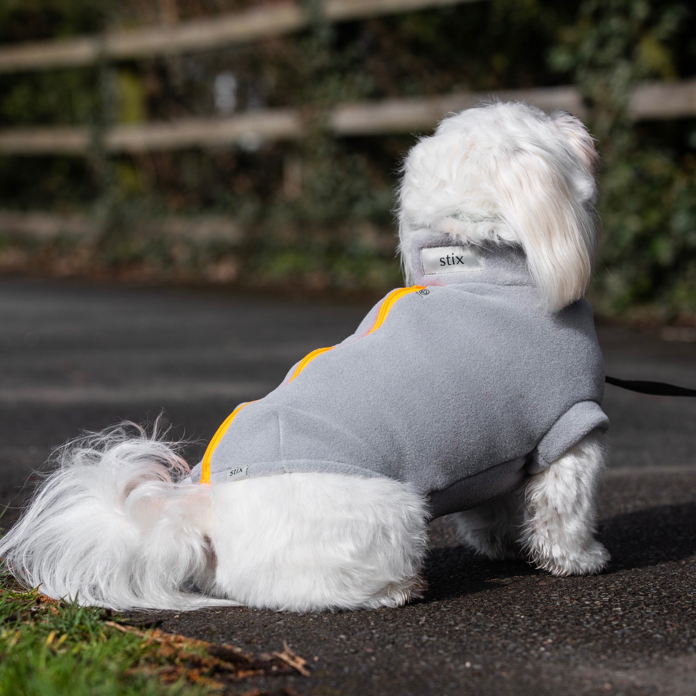 Dog Coats for Maltese | Dog Coats by Stix and Co.